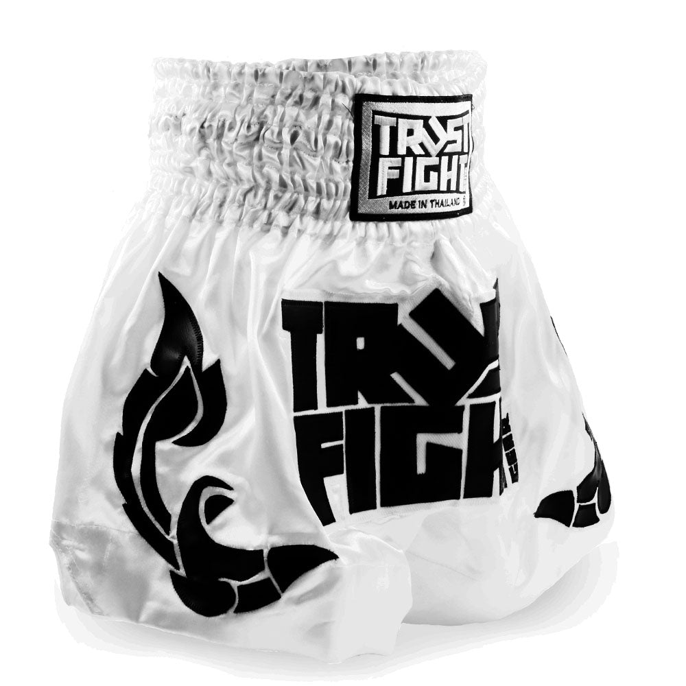 Equipamento de Desportos de Combate: Boxe, MMA, Muay Thai, Kickboxing ...